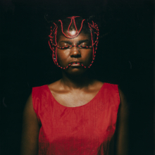 Brooklyn Museum: María Magdalena Campos-Pons: Behold